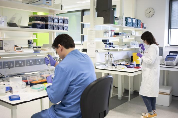 The Royal Marsden clinical trials unit awarded renewal of full UK ...