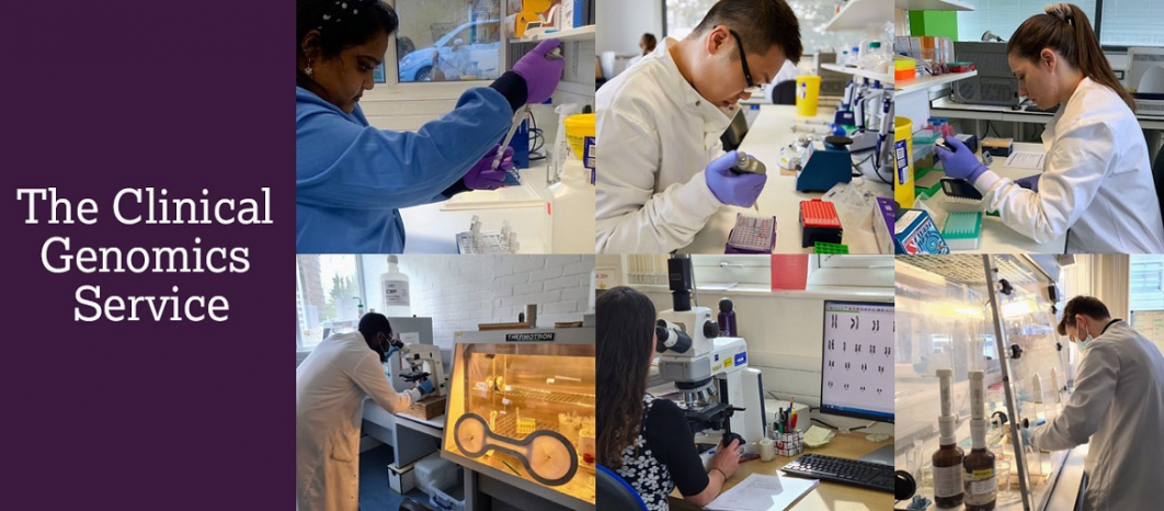 Meet the Team | The Royal Marsden