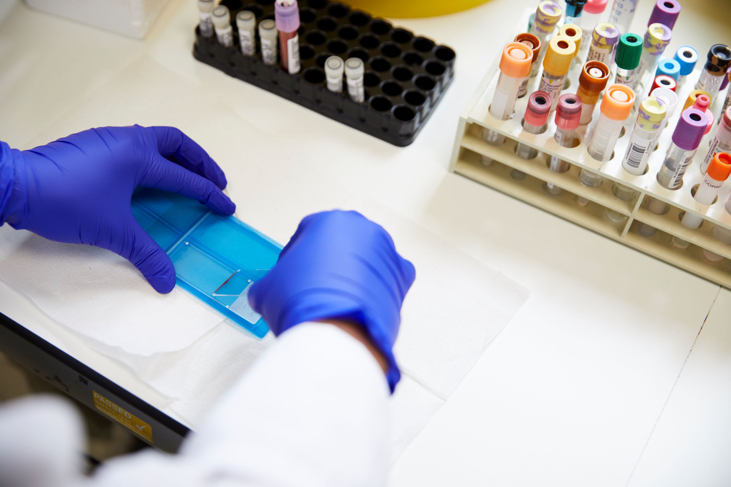 Current activity | The Royal Marsden