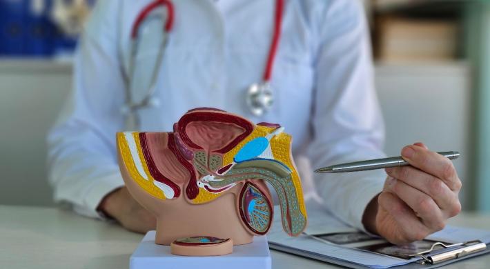 How to check yourself for testicular cancer | The Royal Marsden