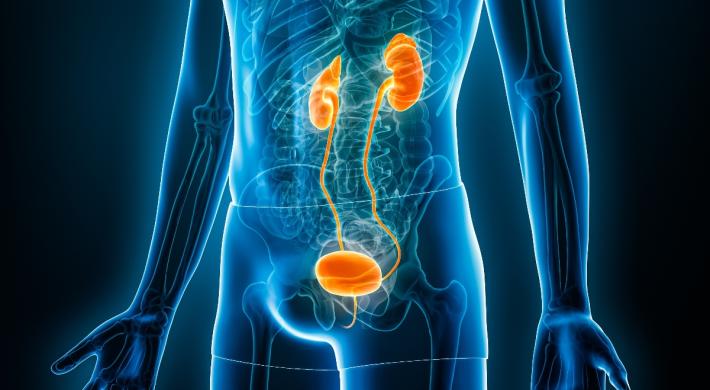 bad back bladder problems