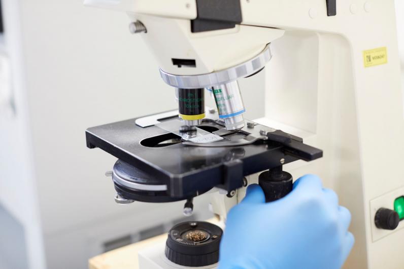 Pathology | The Royal Marsden