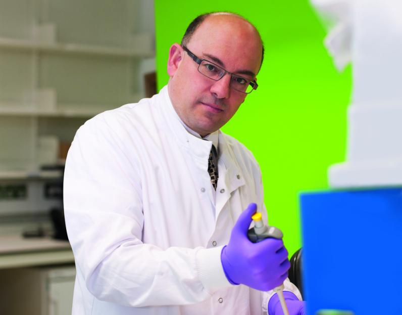 Scientists reverse drug resistance in prostate cancer by targeting ...